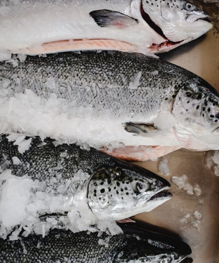 How to Make Perfect Salmon at Home - Weekday Pescatarian