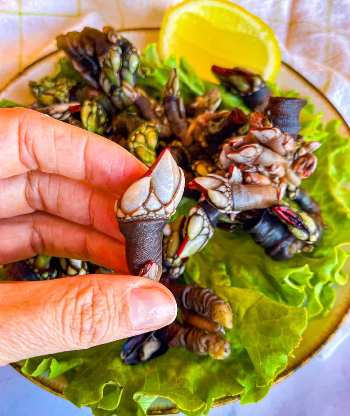 Gooseneck Barnacles Recipe (Percebes) - 5 Minutes!