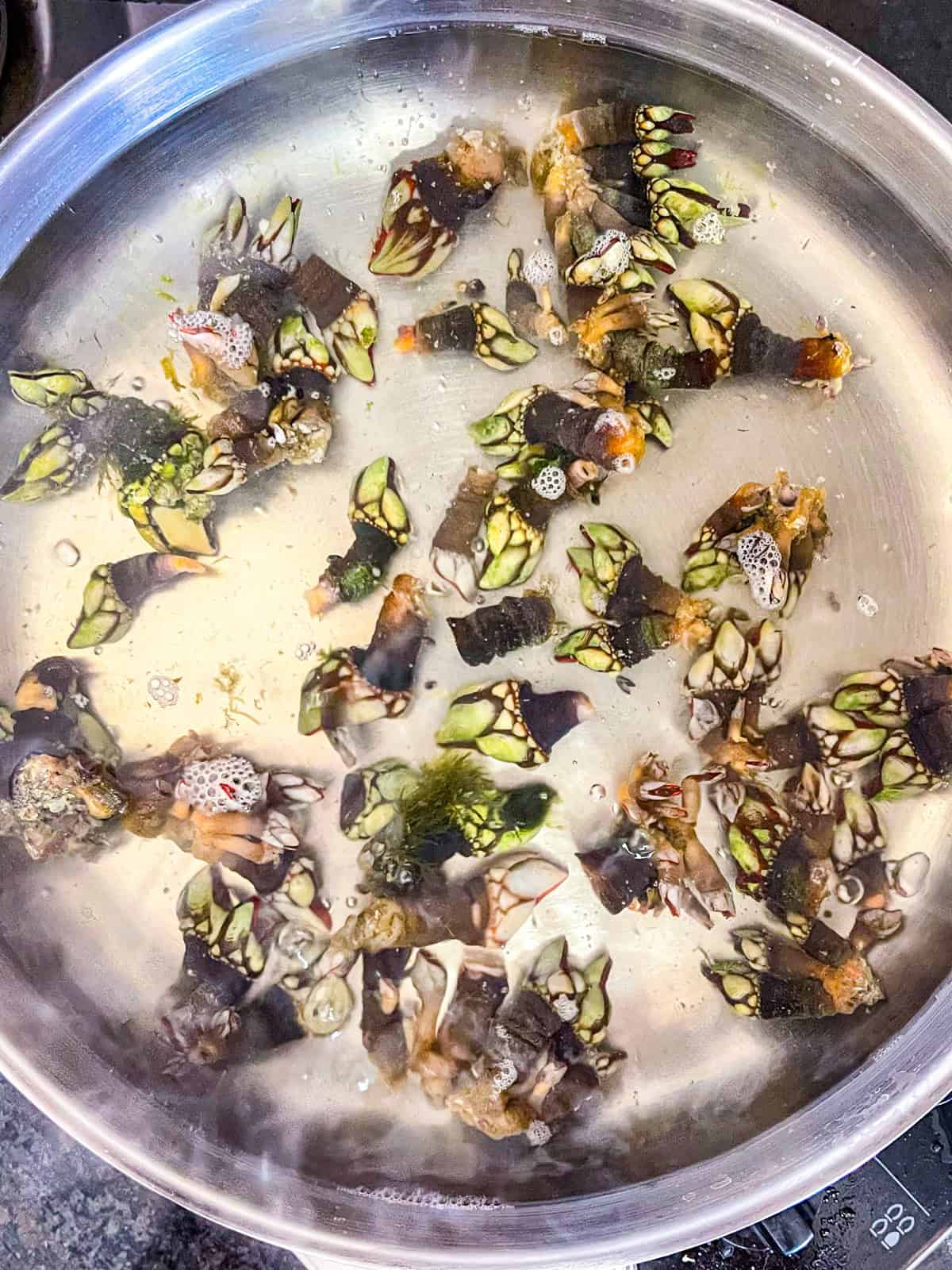 Gooseneck Barnacles Recipe (Percebes) - 5 Minutes!
