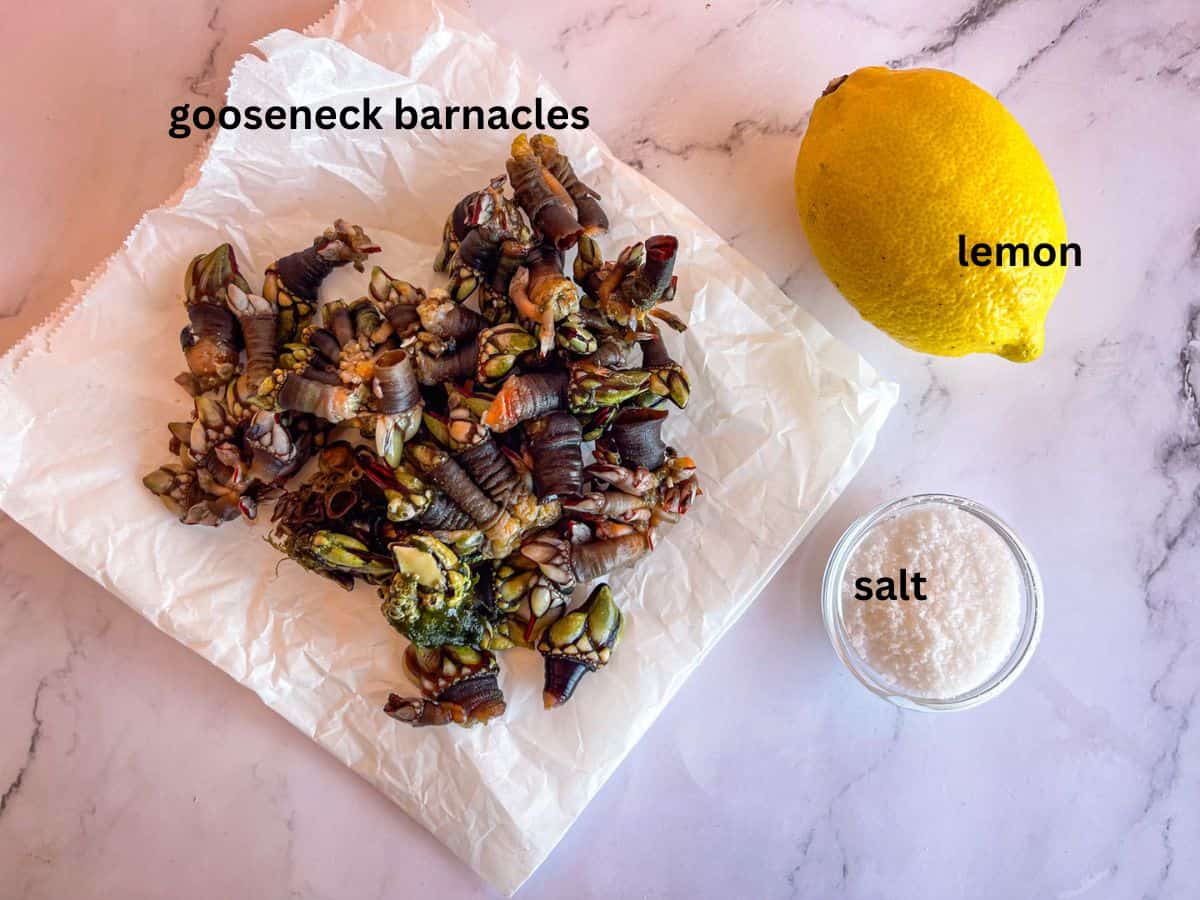 Gooseneck Barnacles Recipe (Percebes) - 5 Minutes!